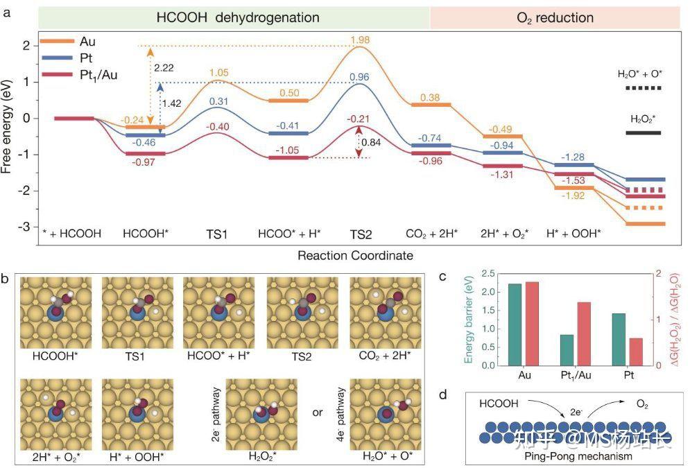 Angew：Pt-Au合金催化甲酸氧化合成H2O2 - 知乎