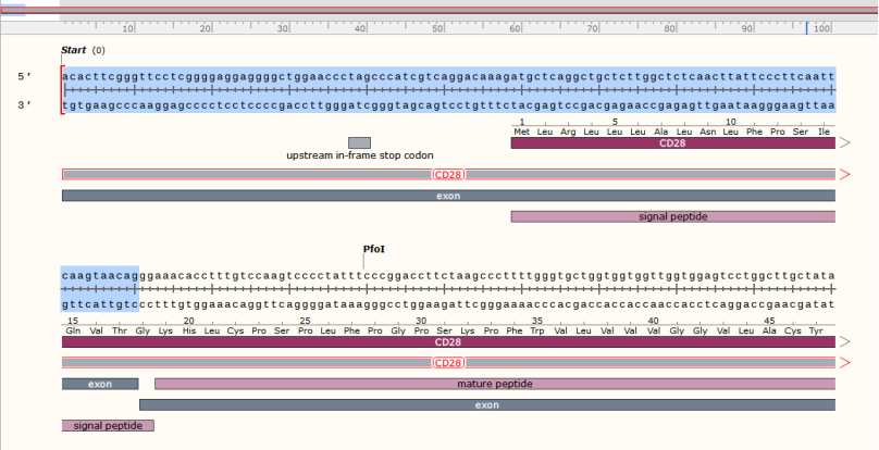 基因编辑-载体构建之CRISPR/CAS9 - 知乎