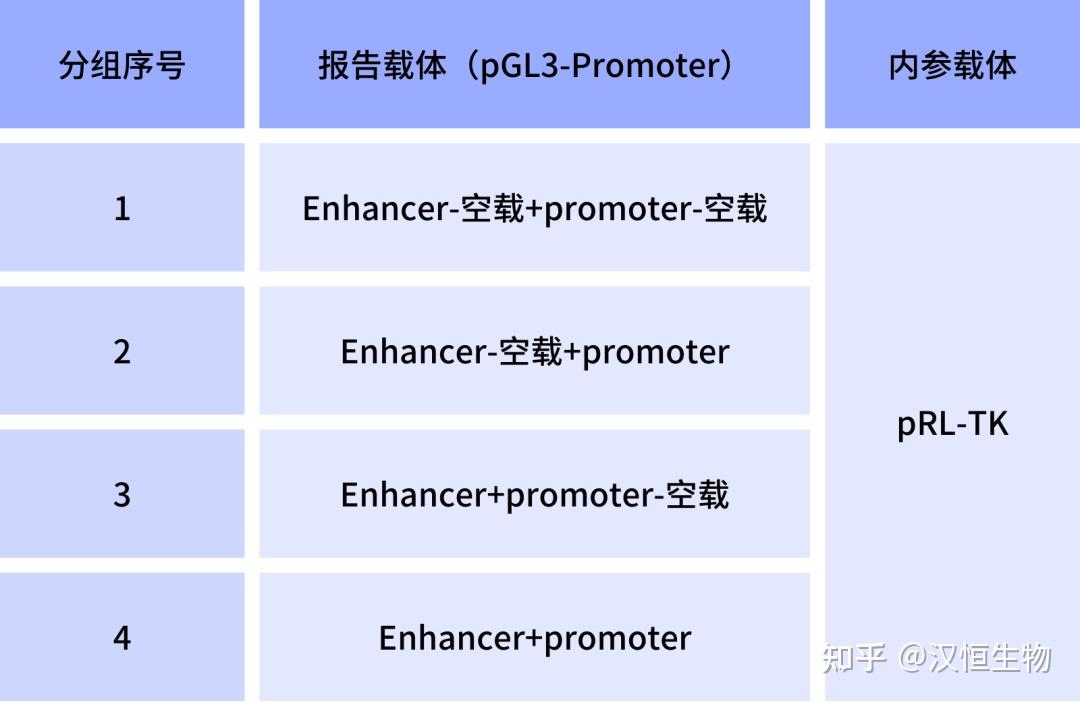 荧光素酶干货系列③ | 【应用篇】 转录因子与启动子互作验证 - 知乎