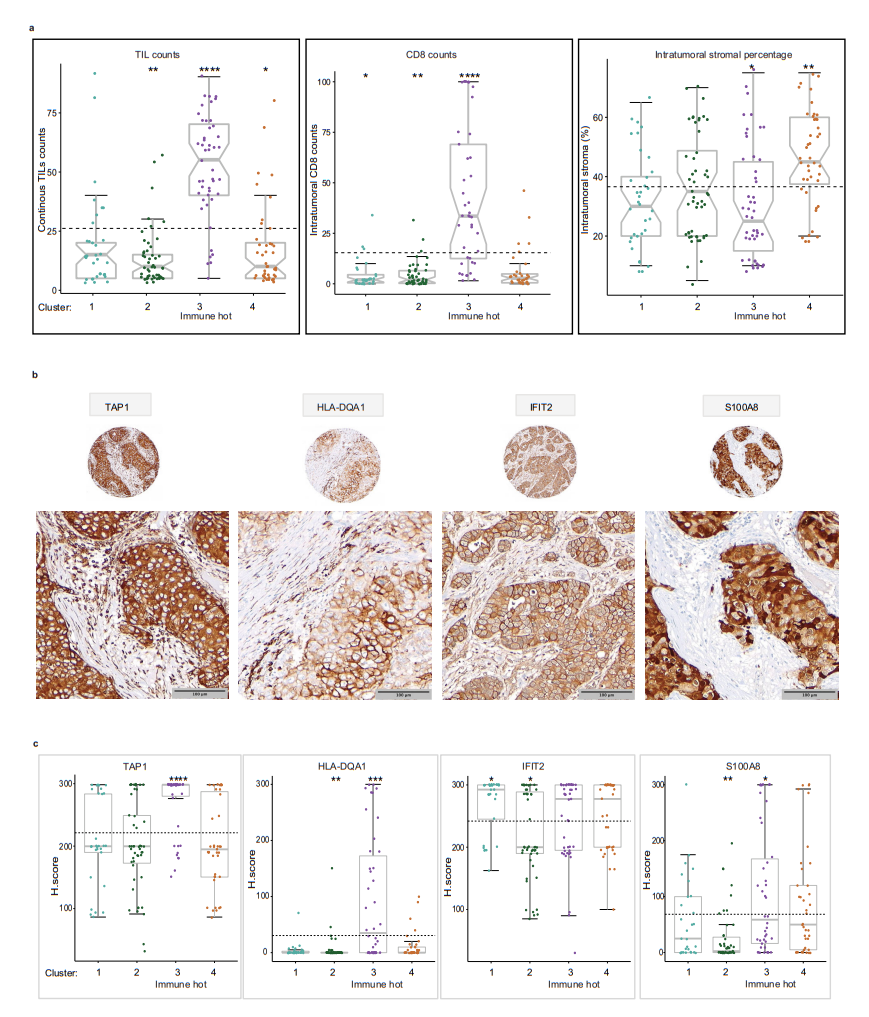 文献解读 | 蛋白质组学分析确定乳腺癌潜在生物标志物和治疗靶点 - 知乎