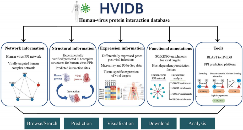 HVIDB！人类病毒蛋白互作数据库介绍 - 知乎