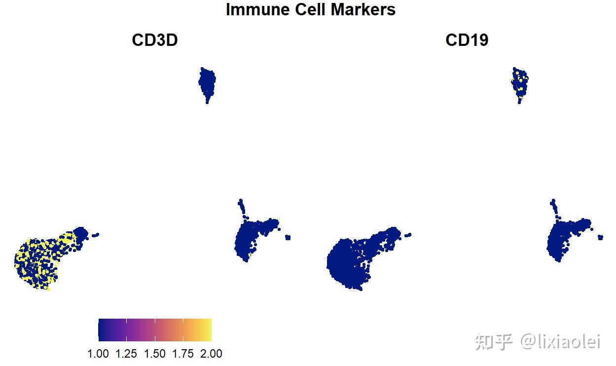Seurat FeaturePlot 终极美化教程：从基础到高级，绘制高颜值基因表达图谱 - 知乎