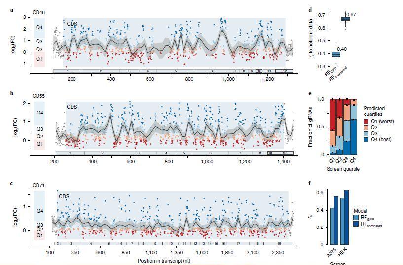 Nature Biotech. | 基于Cas13筛选的RNA设计 - 知乎