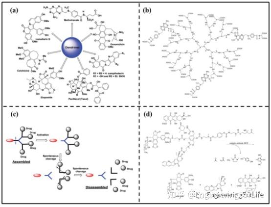 《AHM》综述：药物自给药系统--分子设计、构建策略及生物应用 - 知乎