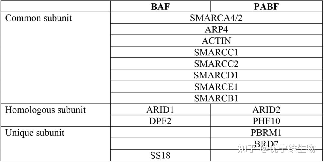 两篇Nature！染色质重塑机制与研究新解 - 知乎