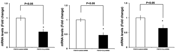 手把手教你用 Graphpad 玩转t检验！实现SCI统计配图自由 - 知乎
