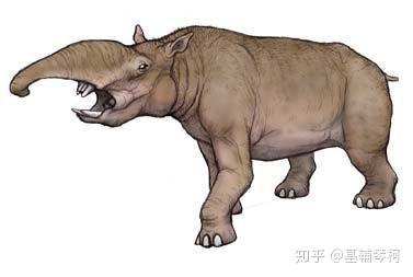 新生代巨兽猛兽与其他掠食者精简名录: 古兽争锋榜(附加部分) - 知乎