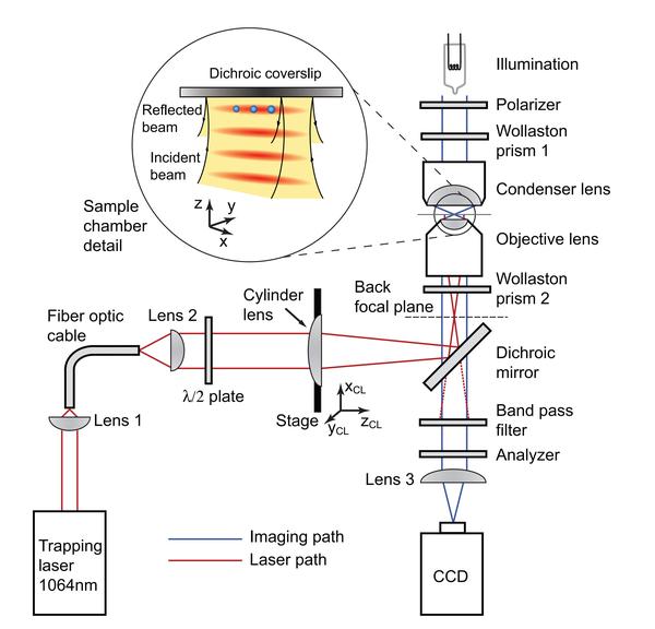 光学束缚 Optical Binding - 知乎