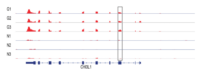 易基因 | 生物信息学：igvtools使用文档 - 知乎