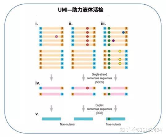 illumina测序接头类型
