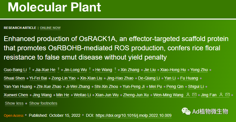 Molecular Plant | 四川农业大学研究揭示水稻稻曲病的抗性基因！ - 知乎