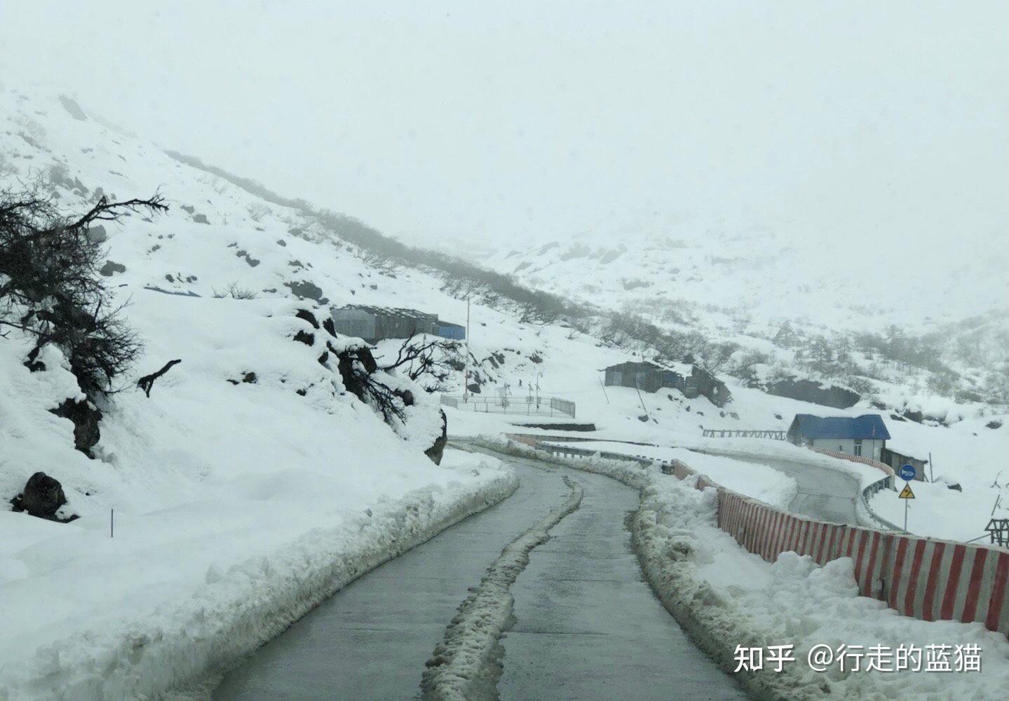 西藏旅游｜墨脱~徒步者心目中的天堂 - 知乎