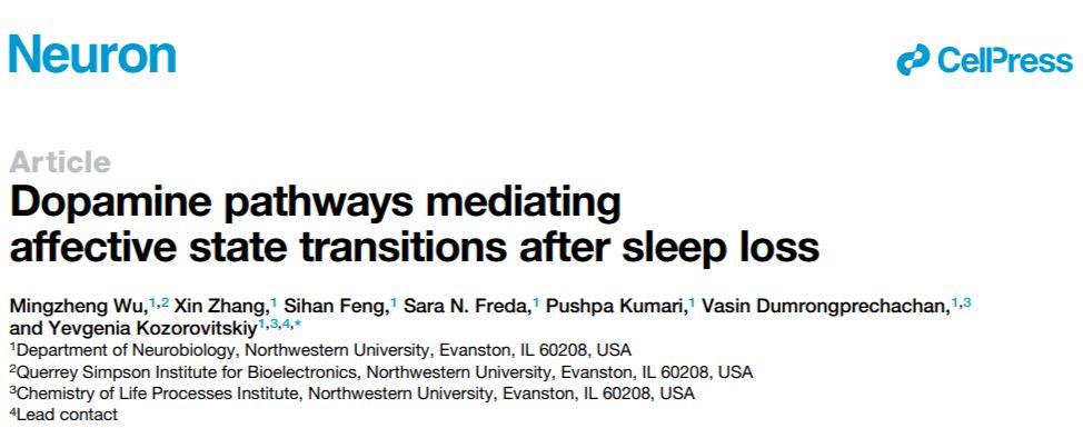 Neuron：急性睡眠剥夺或可抗抑郁，再添新证据！ - 知乎