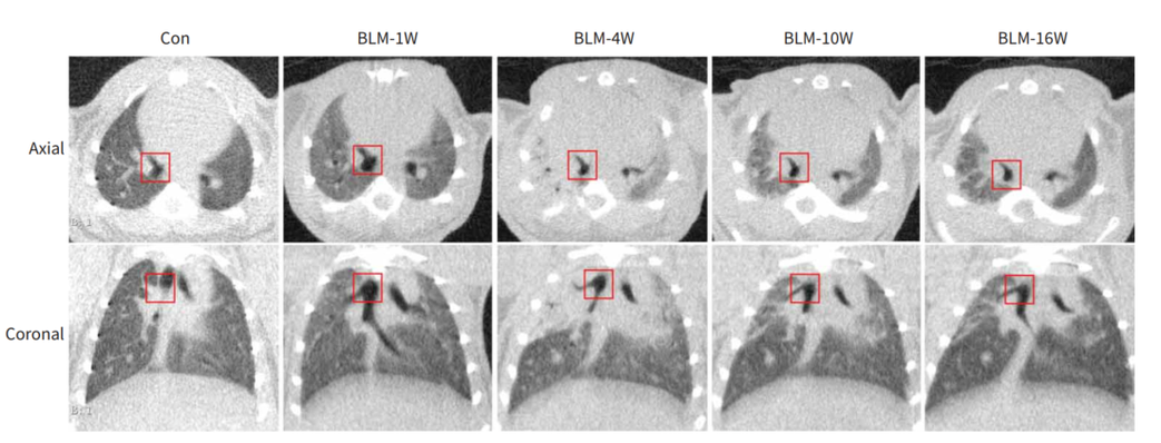 药效纵向研究新利器？Micro-CT影像技术在药物临床前小鼠药效模型上的应用 - 知乎