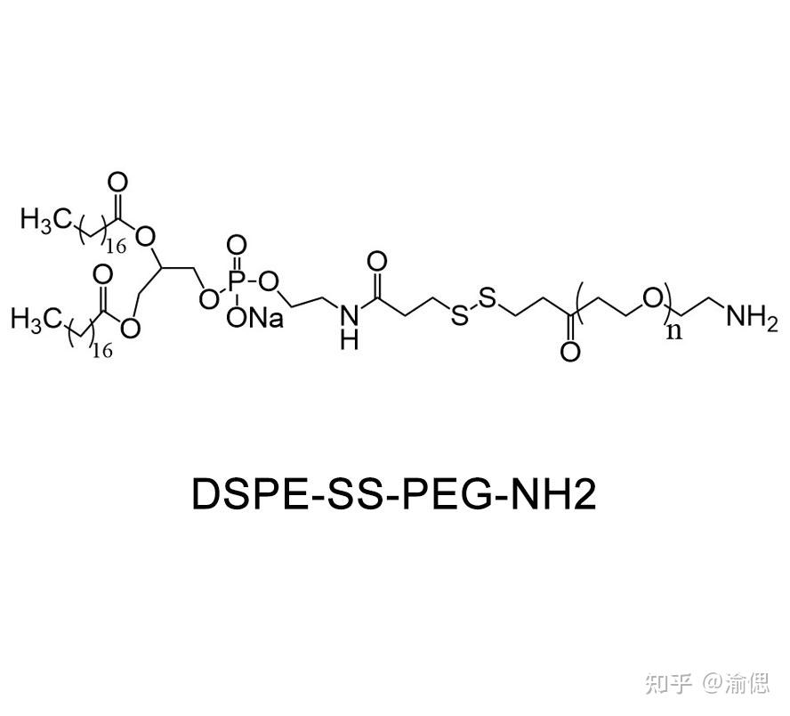 氧化还原型脂质体二硬脂酰基磷脂酰乙醇胺-双硫键-聚乙二醇-氨基 DSPE-SS-PEG-NH2怎么用？ - 知乎