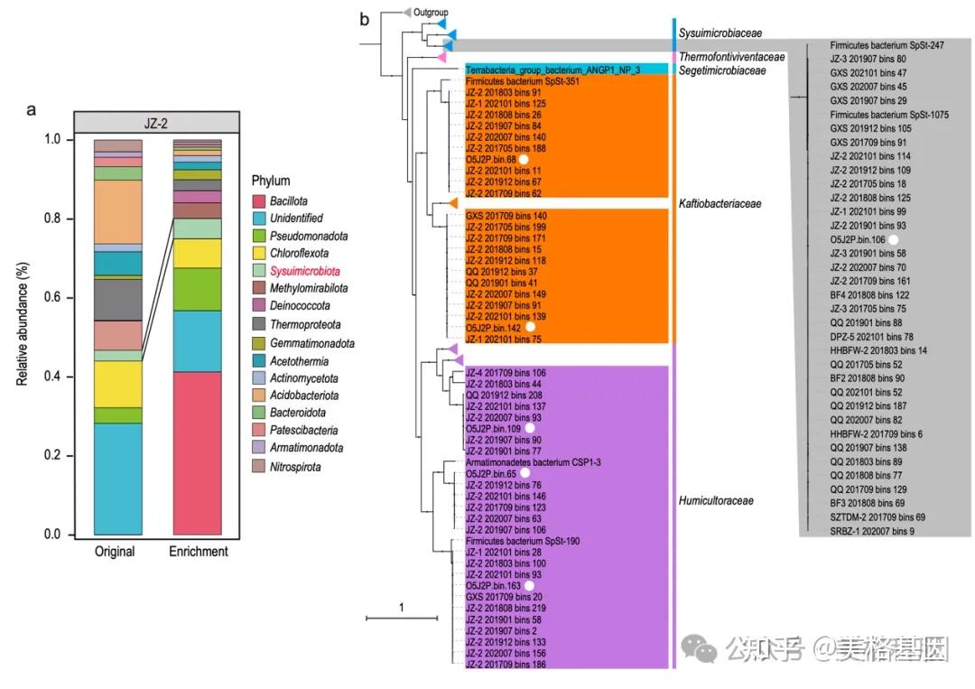 荣耀问世！中大微菌门（Sysuimicrobiota）开启极端环境微生物研究新思路 - 知乎