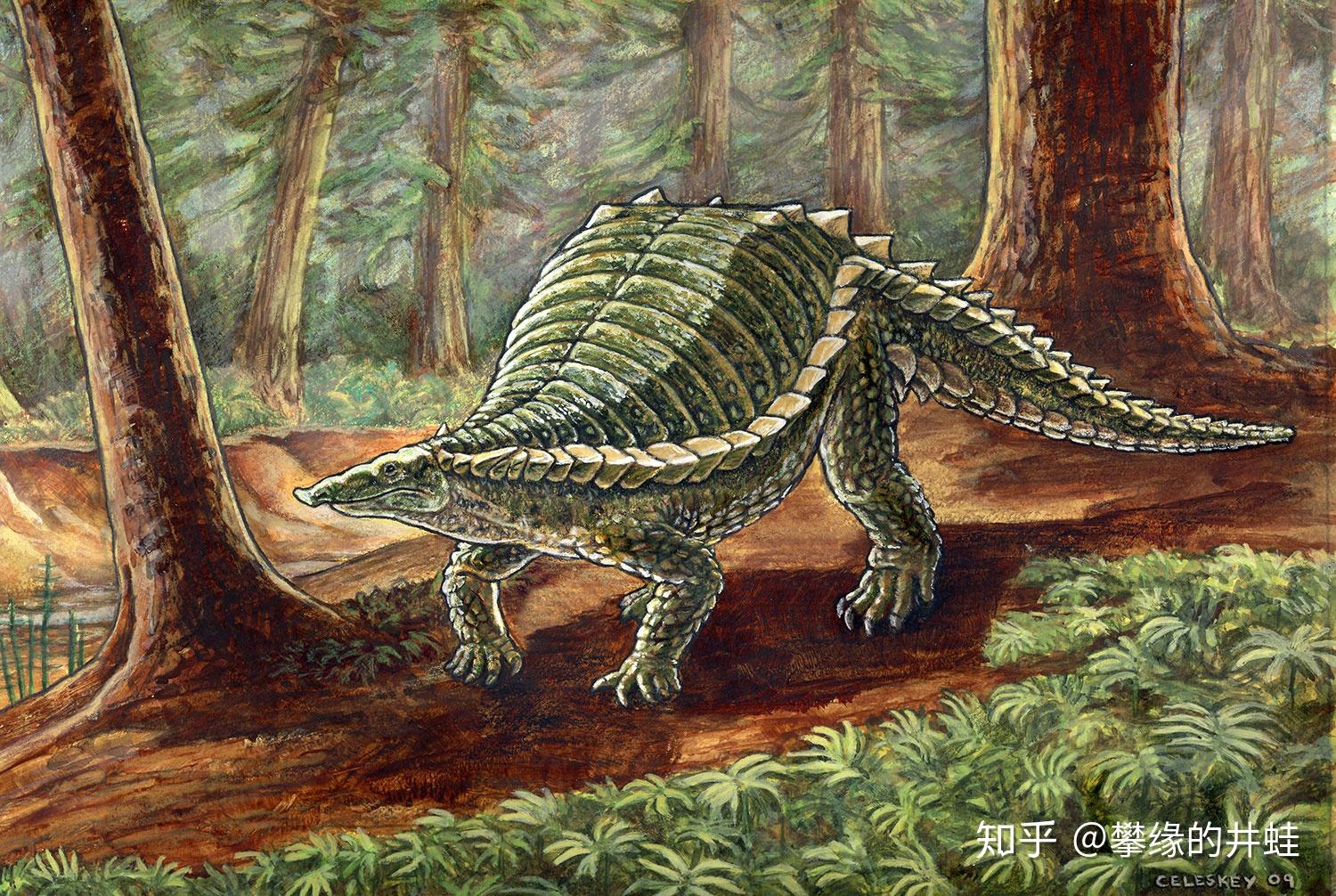 【地球演义】第二百六十二回 九龙颂5：瘦骨萧条甲胄宽 - 知乎