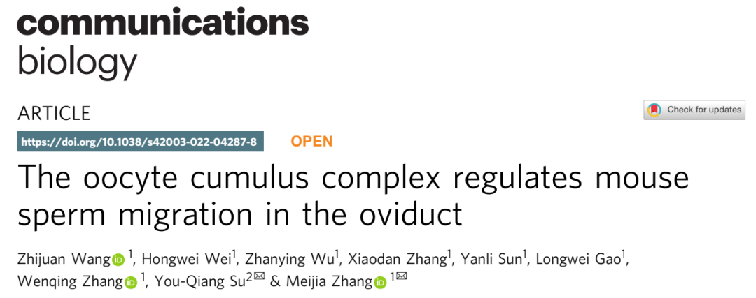 Commun Biol︱张美佳/苏友强课题组合作揭示排卵促进精子在输卵管中迁移的分子机制 - 知乎