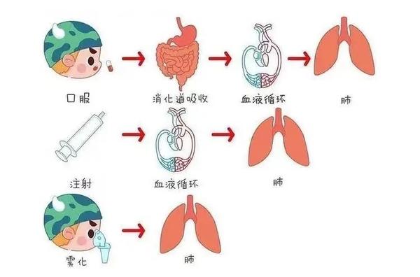 布咳乐NEB雾化器丨小体积大雾量 孩子咳嗽不慌张！ - 知乎