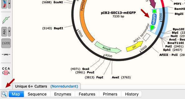 SnapGene操作指南 | 缩放功能 - 知乎