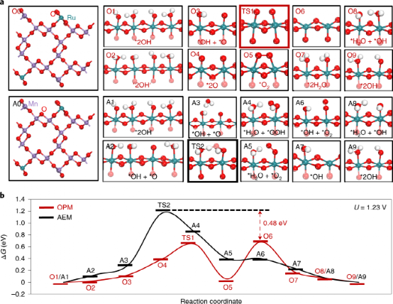 11天后，OER再登Nature Catalysis！ - 知乎