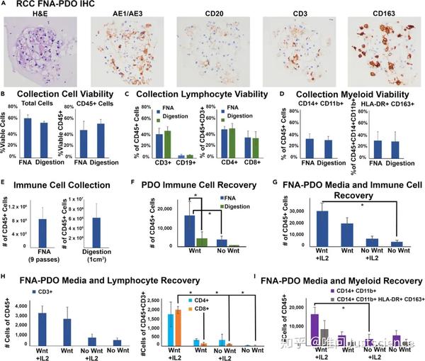 iScience：基于细针穿刺的患者来源癌症类器官 - 知乎