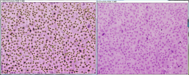 ImageJ的一些基本操作 - 知乎