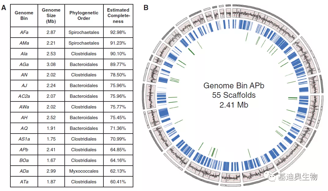 拿到Bin以后，会用才是高级分析！ - 知乎
