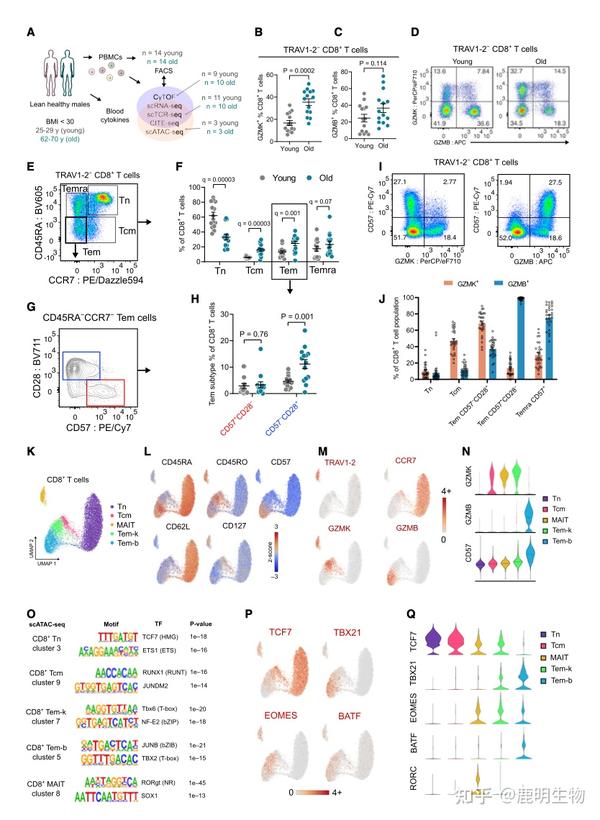 免疫学一区顶刊：质谱流式单细胞蛋白组学揭示免疫衰老保守标志物 - 知乎