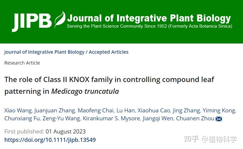JIPB | 山东大学周传恩课题组发现蒺藜苜蓿Class II KNOX调控复叶发育的新机制 - 知乎