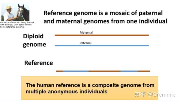 从头全基因组组装De novo whole genome assembly - 知乎