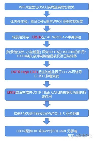欧易生物解读——发现口腔鳞癌复发新机制 - 知乎