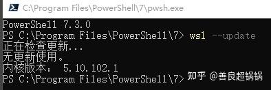 2022 年 11 月，Windows 10 WSL 2 配置和踩坑记录【多图预警】 - 知乎