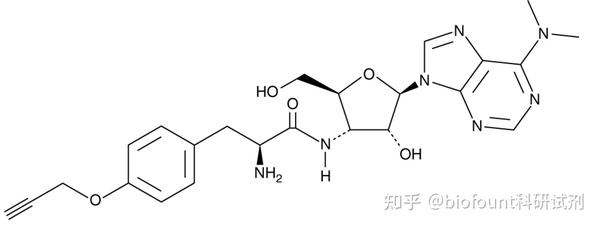 O-Propargyl-Puromycin；嘌呤类似物 - 知乎