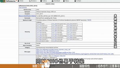 CHO细胞培养，中国仓鼠卵巢细胞培养攻略-丰晖生物 - 知乎