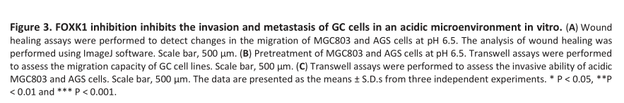 零基础SCI绘图（9）如何出一张Figure上篇figure的构成 - 知乎