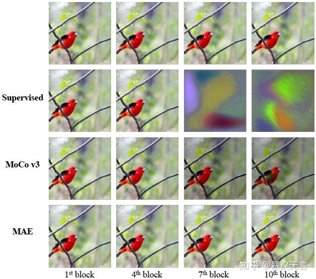 视觉微调极简笔记-通用篇-[ArXiv]GVPT - 知乎