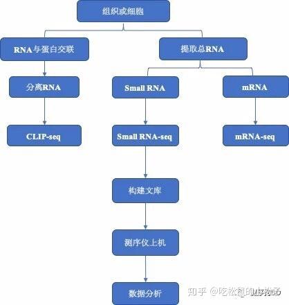 RNA测序知多少 - 知乎