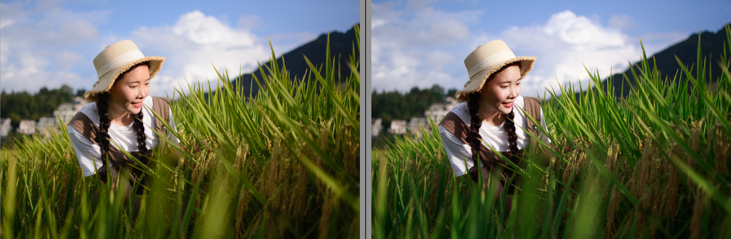 使用Adobe DNG Profile Editor为尼康RAW移植佳能的人像预设 - 知乎