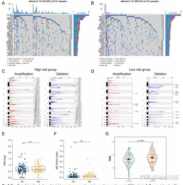 Nature子刊| 38+STTT推荐的科研热点：CCL20 - 知乎