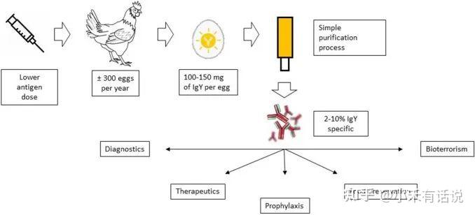 lgy到底有什么用？ - 知乎