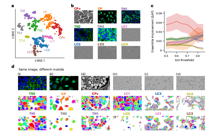 Nat Methods | 训练自己的细胞分析模型：Cellpose 2.0 - 知乎