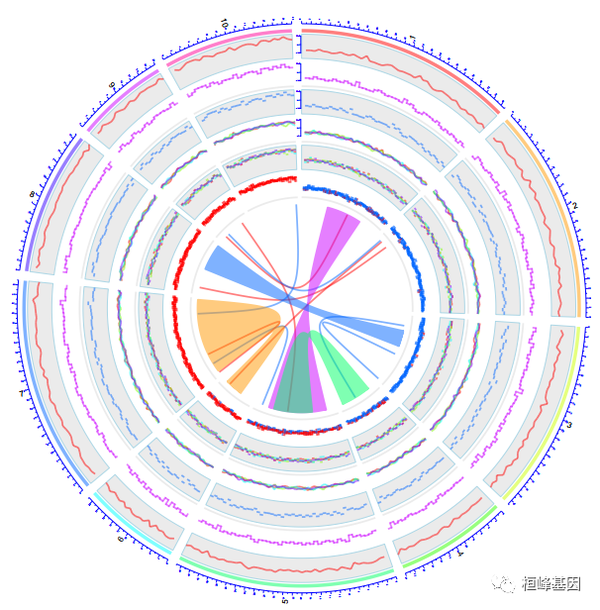FigDraw 15. SCI 文章绘图之多组学圈图(OmicCircos) - 知乎