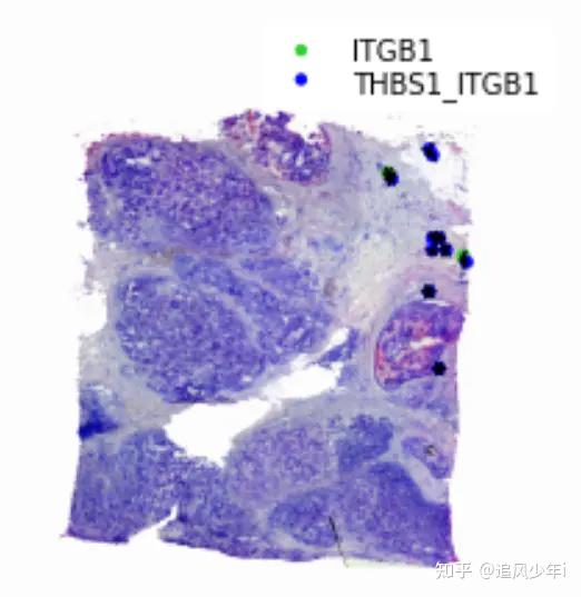 10X空间转录组之空间临近通讯分析stlearn进阶版 - 知乎