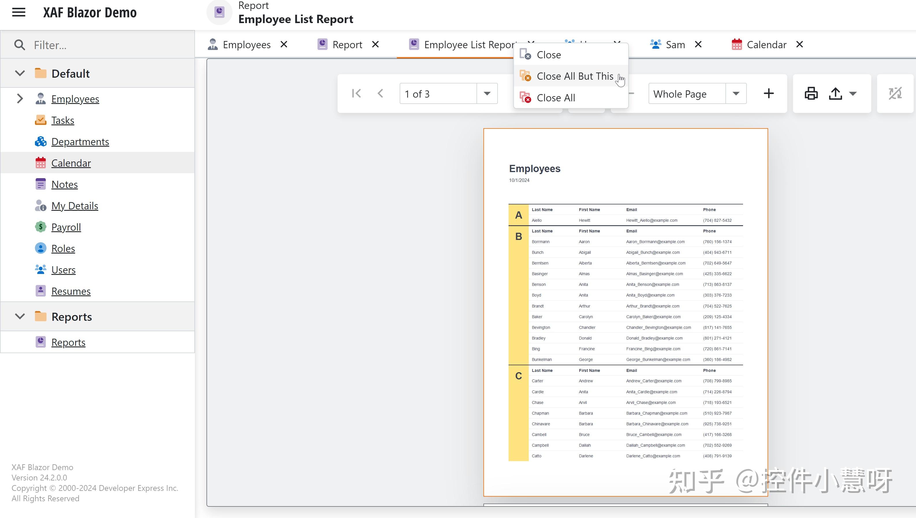 UI框架DevExpress XAF v24.2新功能预览 - .NET Core / .NET增强 - 知乎