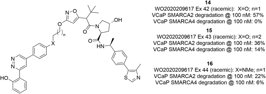 合成致死靶点SMARCA2: PROTAC蛋白降解剂 (专利综述) - 知乎