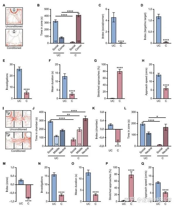 Neurosci Bull︱条件性社交恐惧模型: 在小鼠中诱导强烈且特异的社交恐惧 - 知乎