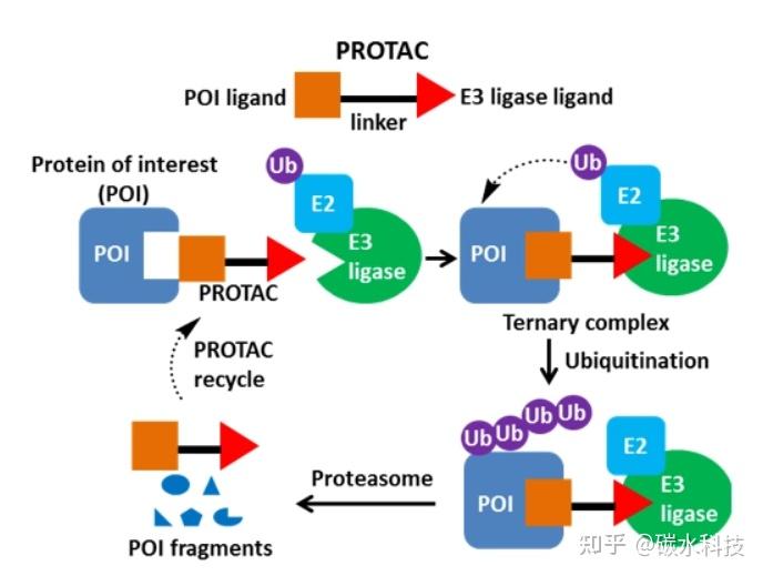 PEG 类PROTAC 连接子（4 个单元）| E3连接酶配体连接子偶联物 - 知乎