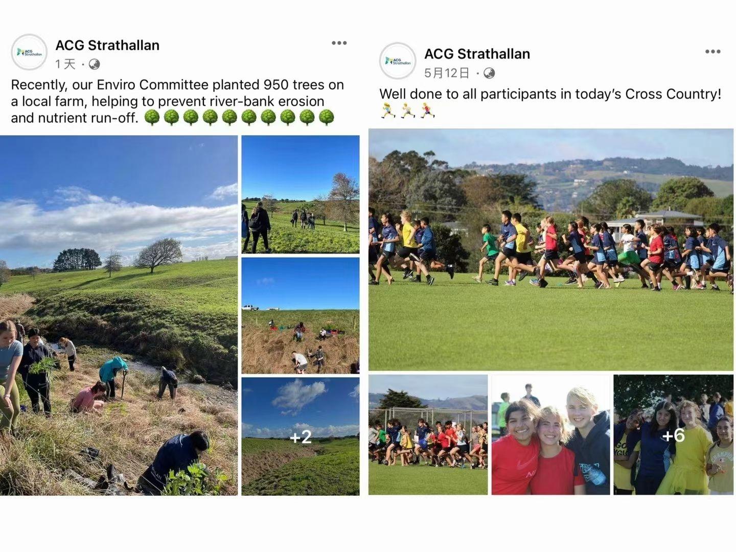 新西兰顶级私立中小学ACG斯爱伦学校第二学期丰富的校园生活🏫 - 知乎