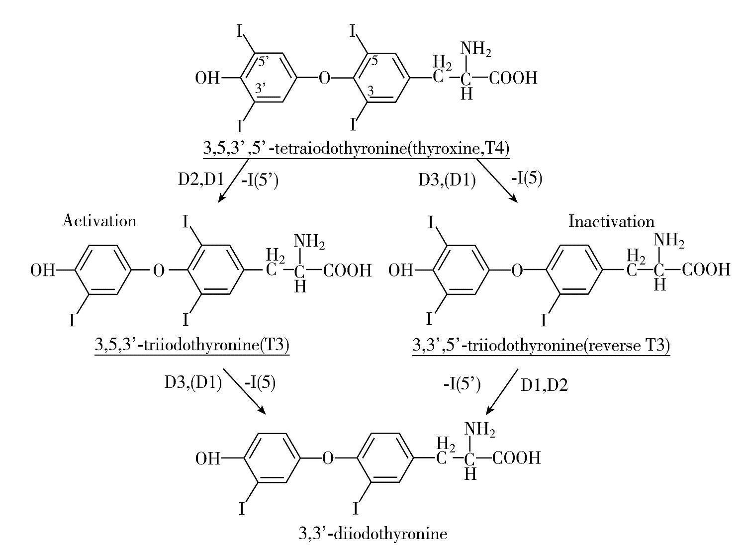 第四节 硒 知乎